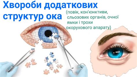 Хвороби повік конюнктивисльозовивідного апарату очниці лекція