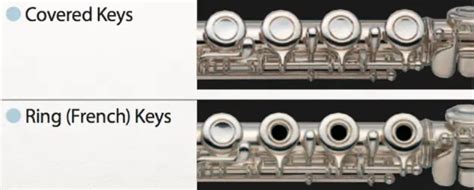 How Many Keys Does A Flute Have Interesting Guide