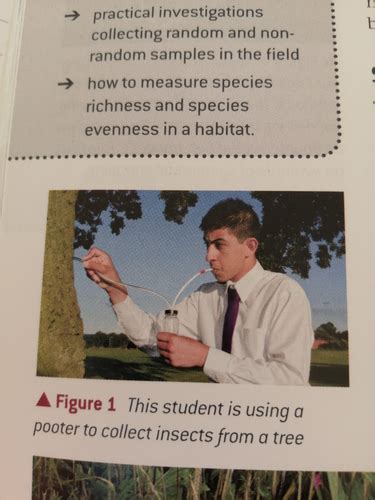 3 Sampling Techniques Flashcards Quizlet