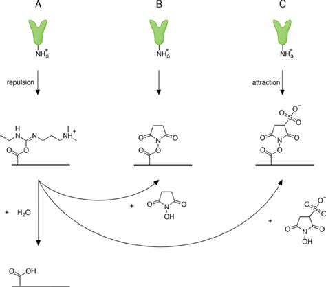 Example Of The Electrostatic E Ff Ect For Di Ff Erent Carboxylic Acid