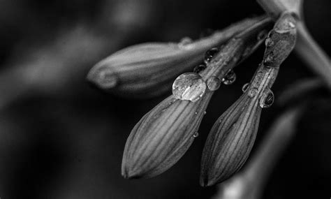 Close Up Texture Photos Download The Best Free Close Up Texture Stock