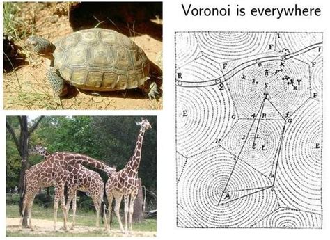 들로네 삼각분할delaunay Triangulation And 보로노이 다이어그램voronoi Diagram Home