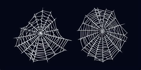 Spider Web Set Isolated On Black Background Spooky Halloween Cobwebs