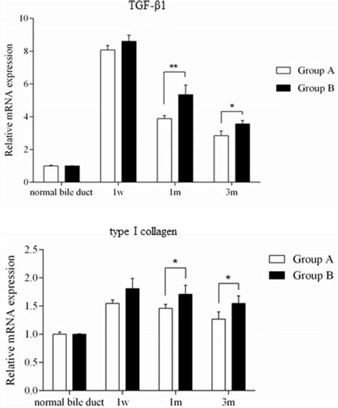 Relative Mrna Expression Levels Of Tgf β1 And Type I Collagen