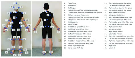 Marker Locations For Motion Analysis Download Scientific Diagram