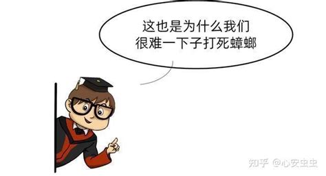 家里蟑螂“无孔不入”？教你家里放点“它”，蟑螂“集体消失”！ 知乎