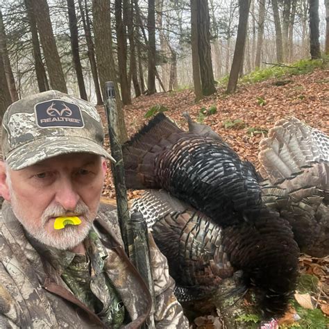 A Special Build Out Of A 25 Year Old Chinese Chestnut Burly Stump This