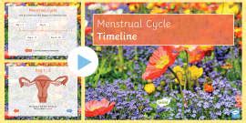 FREE Menstruation PowerPoint BBC Teach Twinkl Partnerships