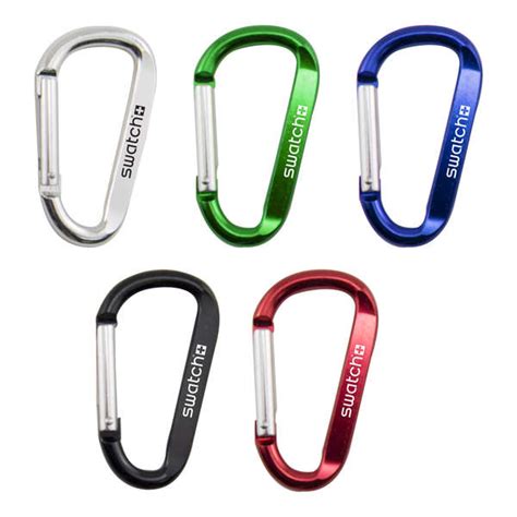 Carabiner Clip Keyring Keychain At Frank Duke Blog