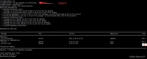 更新yum源时遇到报错：repomdxml Errno 14 Curl60 “the Certificate Issuer‘s