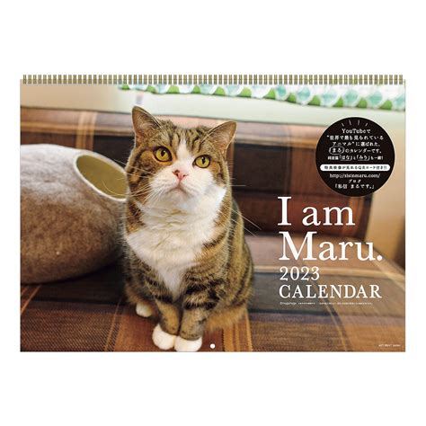 Apj I Am Maru