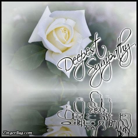 Deepest Sympathy White Rose Image