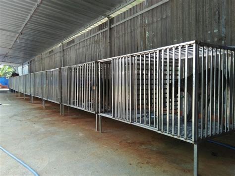 Giá Huấn Luyện Chó ở Tphcm Chi Phí Trọn Gói A Z Huấn Luyện Chó