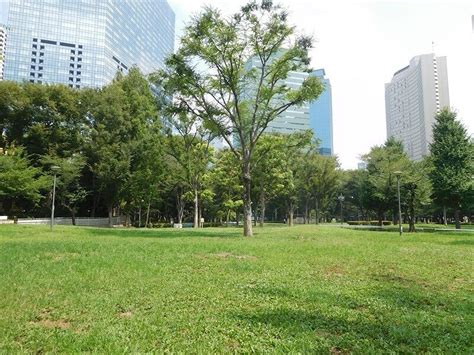新宿区の1日遊べる公園5選 駅近・大型遊具・プレーパークも！ いこーよニュース