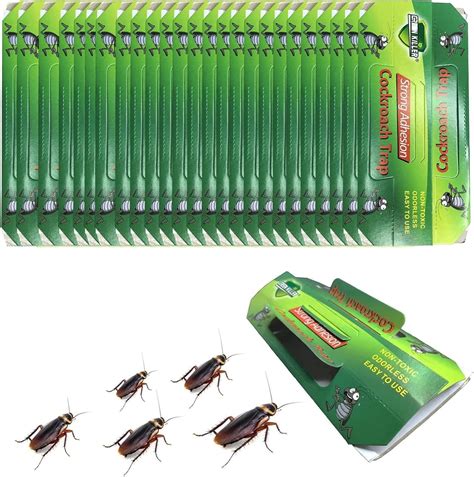 Cockroach Traps Pack Of 30 Cockroach Traps Cockroach Traps Kitchen