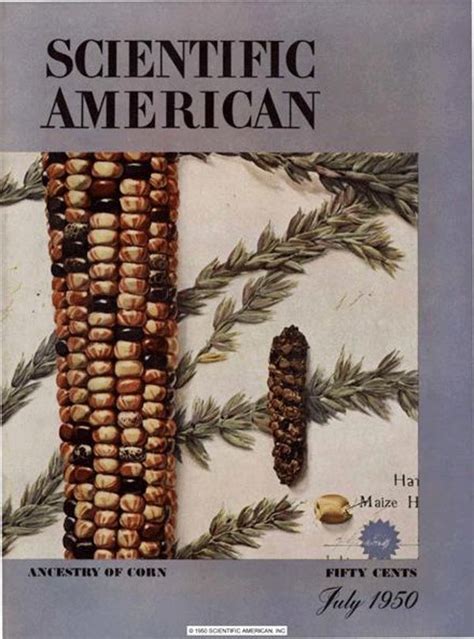 Scientific American Volume 183 Issue 1 Scientific American