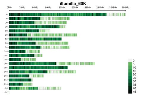 曼哈顿图 Cmplot 包的使用 小鲨鱼2018 博客园
