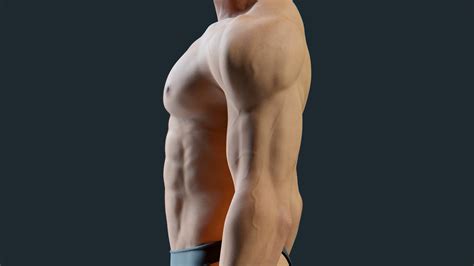 Giga Chad 3d Model Turbosquid 1900093