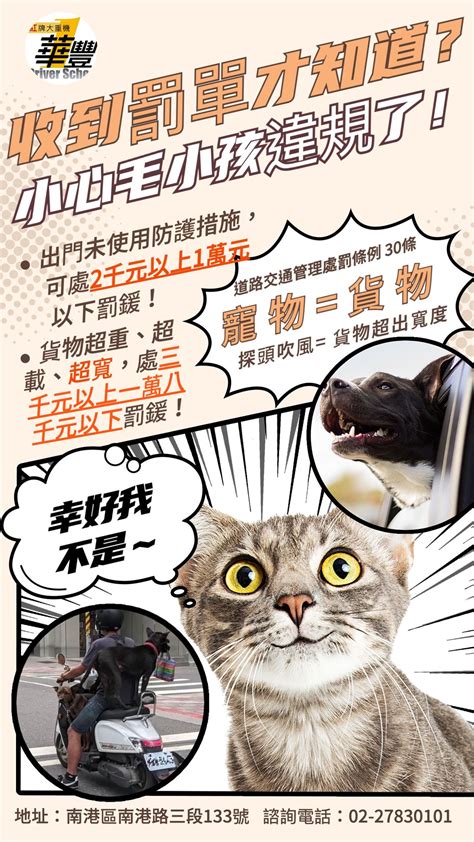 華豐駕訓班 你知道嗎？👀 毛小孩在交通法例上被定義為【貨物】，大家要小心違規被檢舉喔😿 當然更重要的是‘安全性～