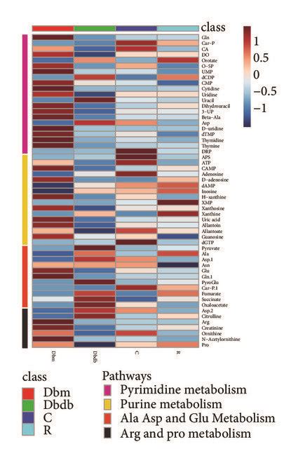 Heatmap Exhibiting The Intensities Of Differential Metabolites In The