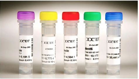 Mgb Dual Labeled Dna Probes For Laboratory Vial At ₹ 25000 Piece In New Delhi