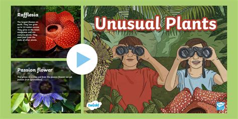 Unusual Plants Powerpoint Teacher Made Twinkl