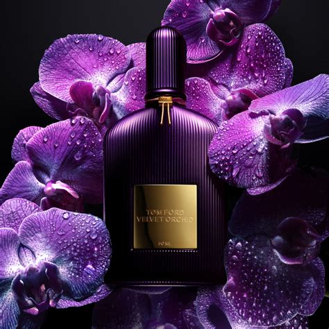 Tom Ford Velvet Orchid Eau De Parfum Eau De Parfum House Of Fraser
