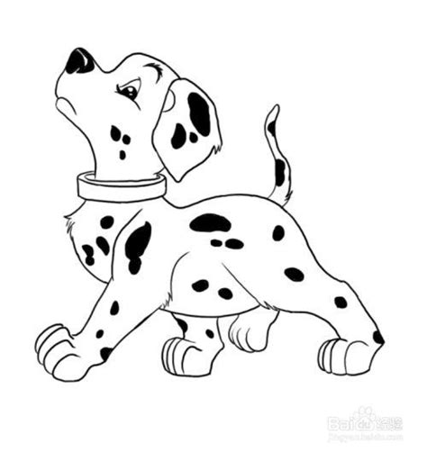 斑点狗卡通简笔画轮廓 简笔画图片大全 普车都