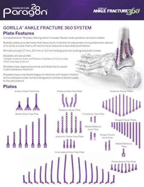 Gorilla® Ankle Fracture Pilon Plating System Paragon 28