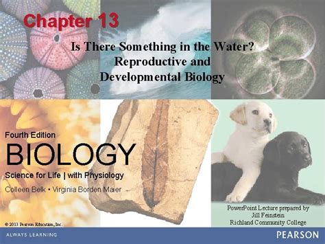 Chapter 13 Is There Something In The Water