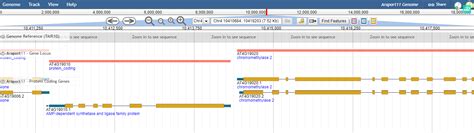 Promoter Identification In Plants Rbioinformatics