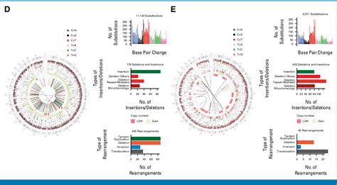 Figure 3 From Genomic Profiling Reveals Germline Predisposition And