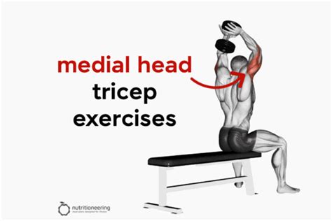 How To Do Chest Dips Vs Tricep Dips For Upper Body Gains