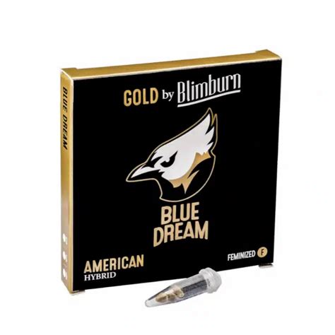 Blue Dream Hmc Edition Seeds 24 Thc Free Shipping