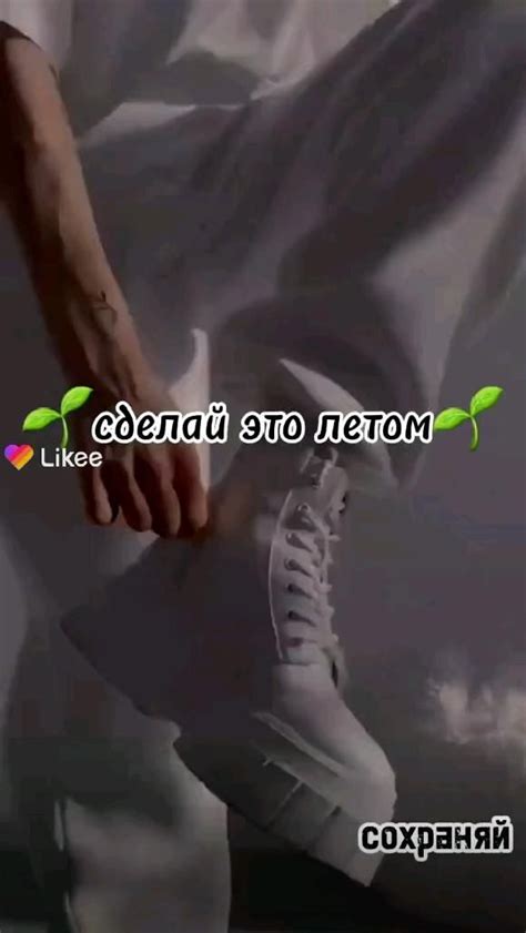 сделайте летом Забавные факты Миниатюрные книги Лето