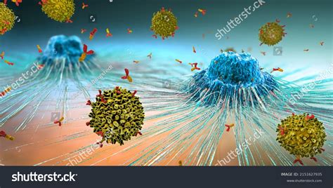 201 Imágenes De Lymphocyte Migration Imágenes Fotos Y Vectores De Stock Shutterstock