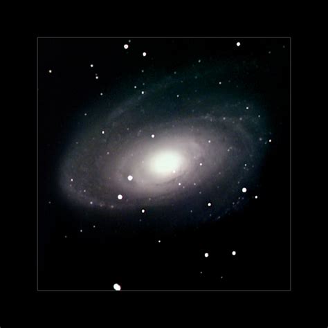 M81