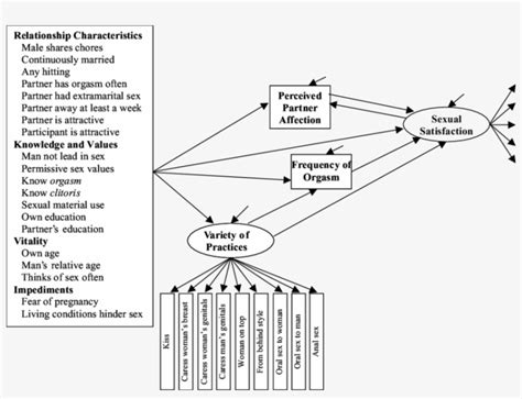 A Model Of Sexual Behavior And Sexual Satisfaction Human Sexual Activity PNG Image