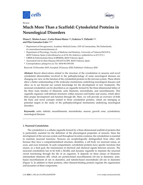 Pdf Much More Than A Scaffold Cytoskeletal Proteins In Neurological