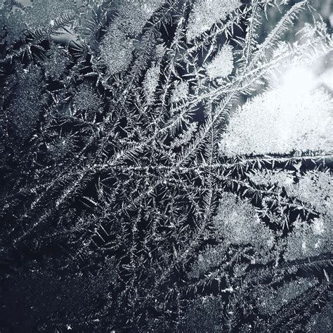 Sensitive Dependence On Initial Conditions By Haptic Album Reviews