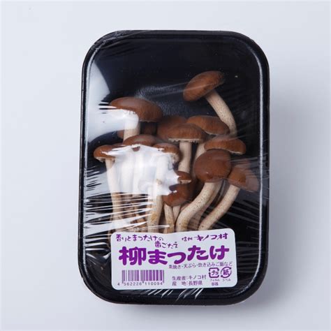 柳まつたけ 100g 長野 km きのこの卸スープ惣菜の業務用仕入れならバイオコスモ通販サイト