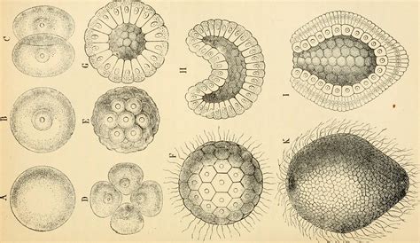 Ghost Busting — Gh0st Rat Malware Analysis By Atlas Medium