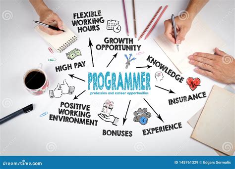 Programmer Profession And Career Opportunities Chart With Keywords And Icons Stock Image