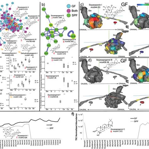 Microbial Metabolism Of Known Bile Acids In Metabolomics Data From