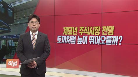 직설 검은 토끼의 해 주식시장 껑충 뜀박질 기대해도 될까 Sbs Biz