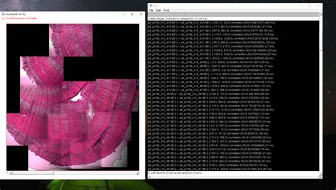 Stitching Misalignment Gridcollection Usage And Issues Imagesc Forum