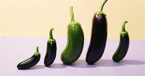 ¿el Tamaño Importa A La Hora Del Placer Esta Es La Medida Promedio Del Pene De Los Mexicanos