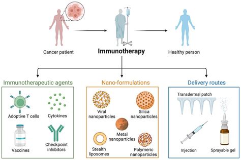 Vaccines Free Full Text Advances In Nanotechnology For Cancer Immunoprevention And