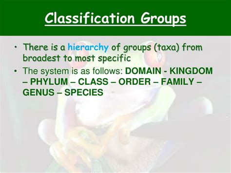 Ppt Classification Powerpoint Presentation Free Download Id8929275 Ppt Classification Powerpoint Presentation Free Download Id8929275