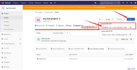 如何用jenkins和gitlab实现CICD 云计算 亿速云